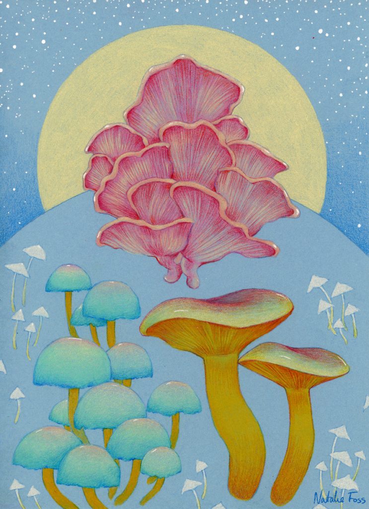 Natalie Foss – BEOPEN Art