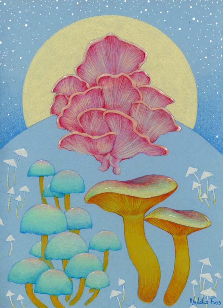 Natalie Foss – BEOPEN Art