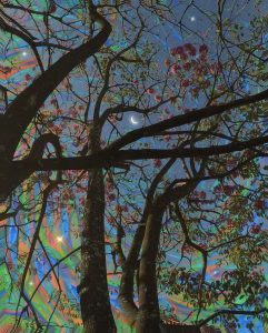 Cajuca – BEOPEN Art