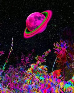 Cajuca – BEOPEN Art